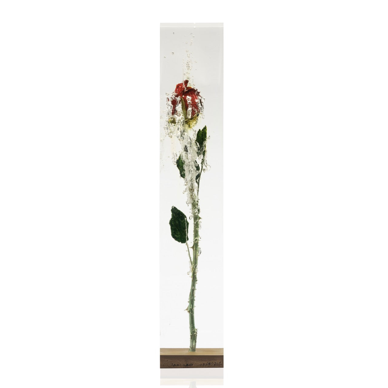 Made in Love — Eternal Rose Sculpture – BOLTBOLT